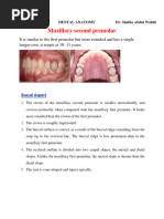 Maxillary Second Molar Anatomy Overview | PDF | Dental Anatomy | Tooth