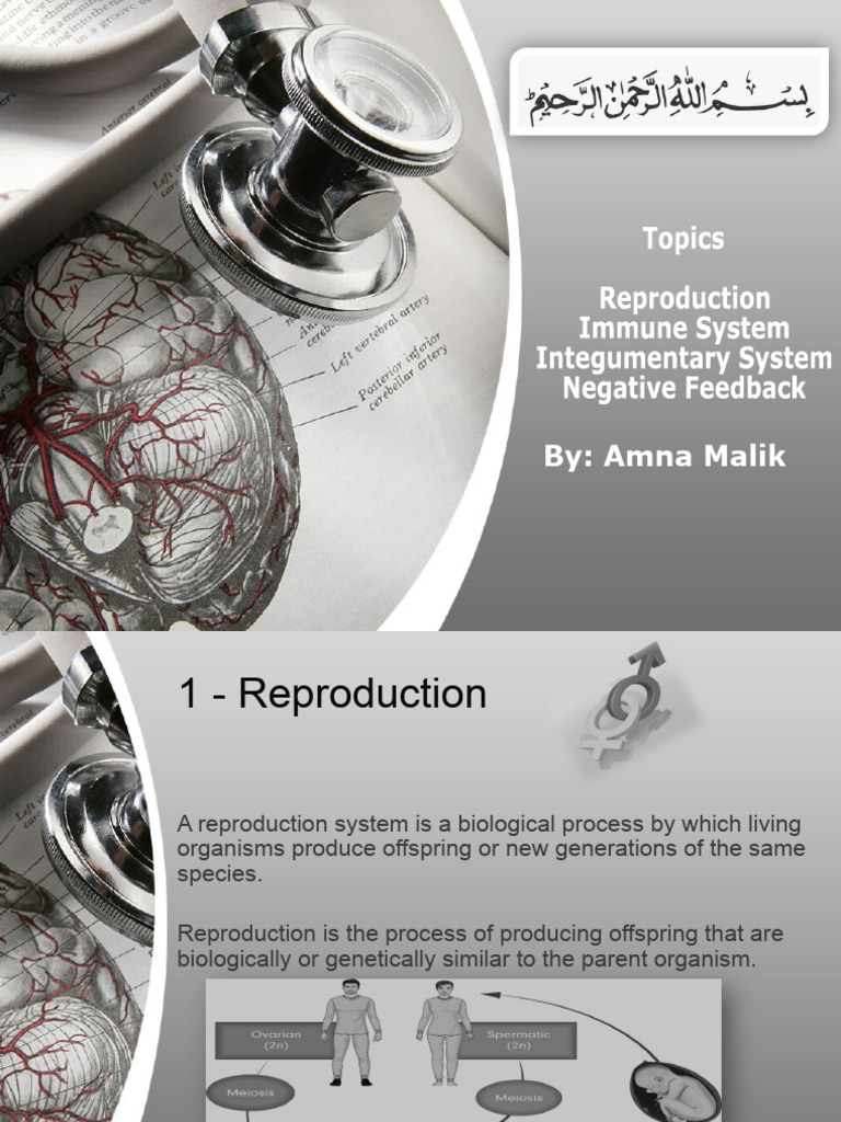Amna Malik Presentation | PDF | Integumentary System | Skin