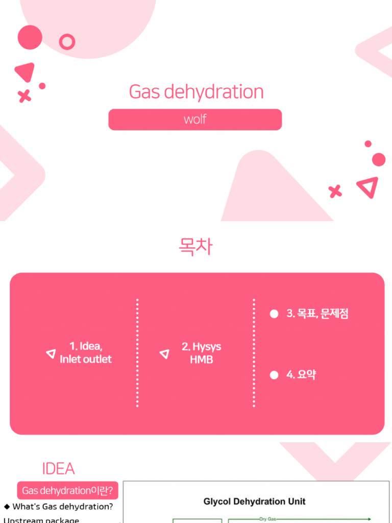 Gas Dehydration Package | PDF