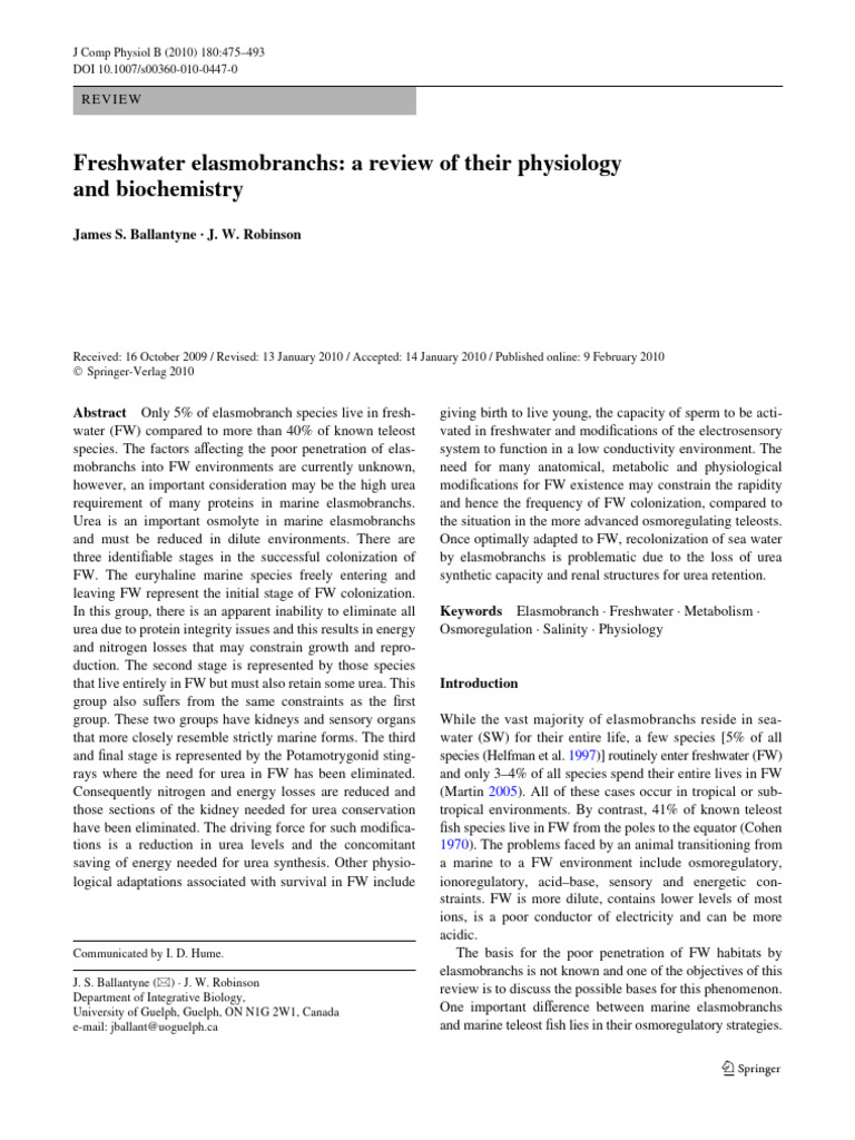 2010 - Ballantyne - Robinson - Freshwater Elasmobranchs Review | PDF | Angiotensin | Kidney