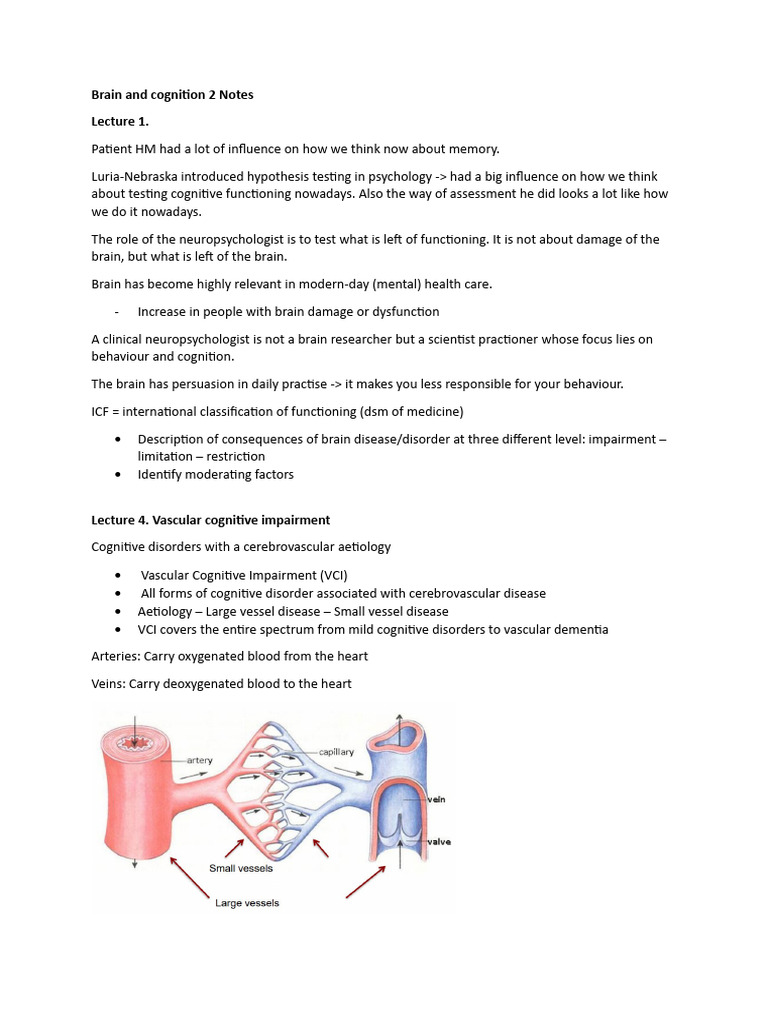 Brain and Cognition 2 Notes | PDF | Stroke | Blood Vessel