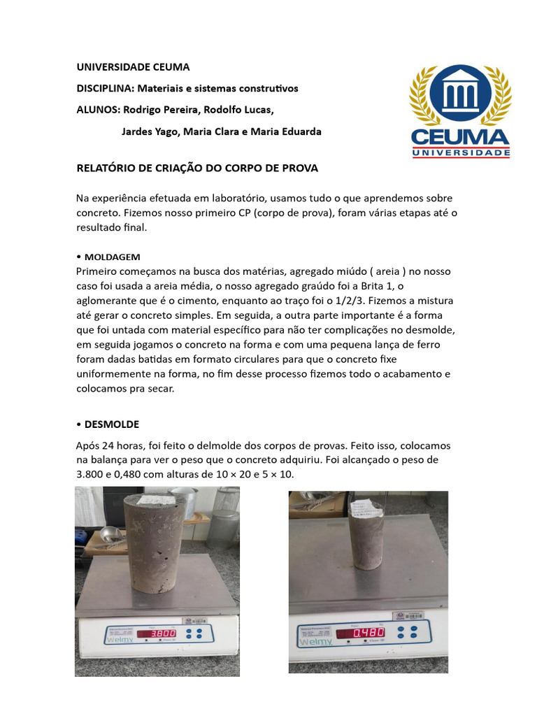Relatório De Concreto Moldagem E Teste Pdf