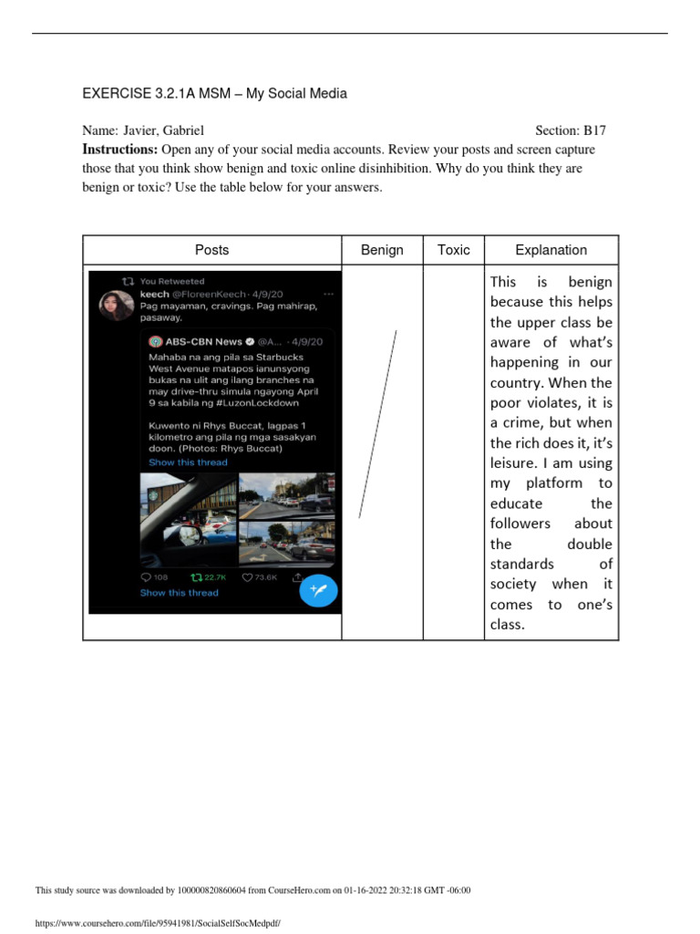SocialSelf SocMed PDF | PDF
