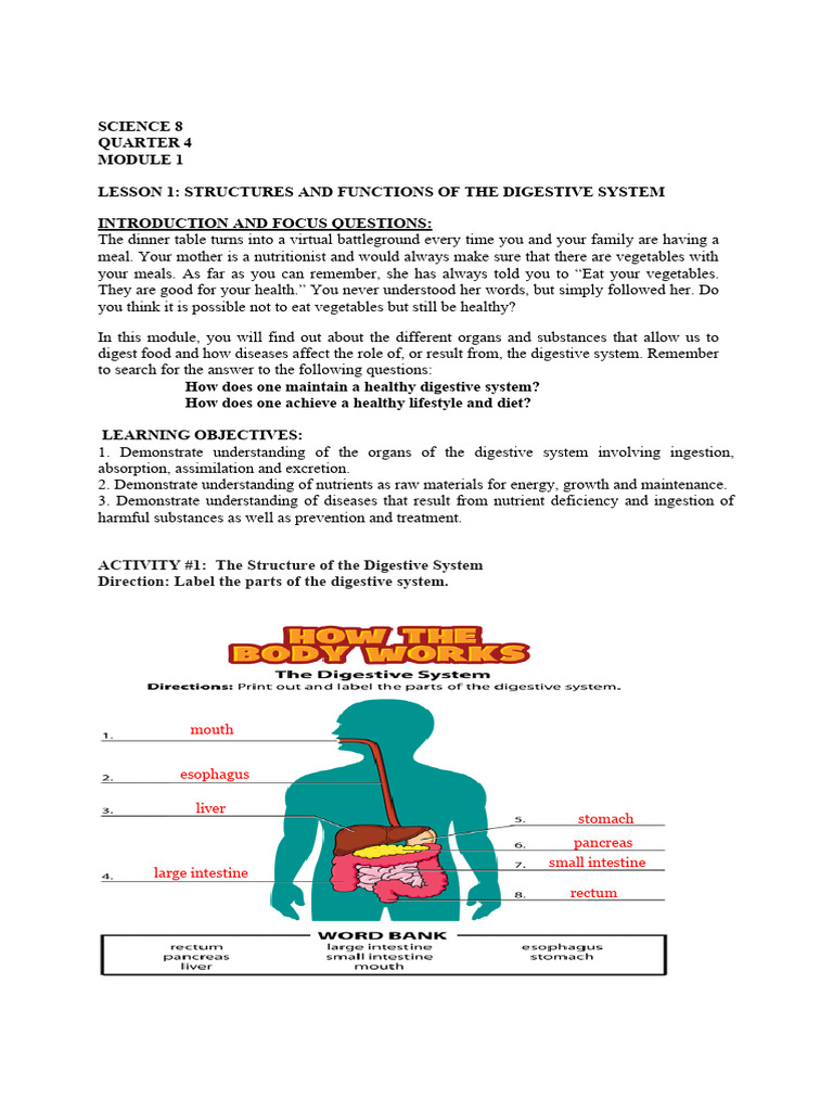 Science 8 Module Final Quarter | Download Free PDF | Mitosis | Meiosis
