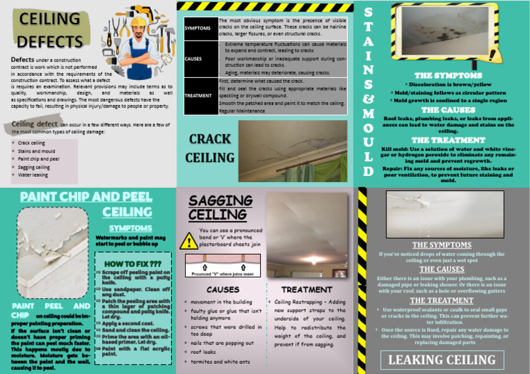 Ceiling Defect | PDF | Mold | Ceiling