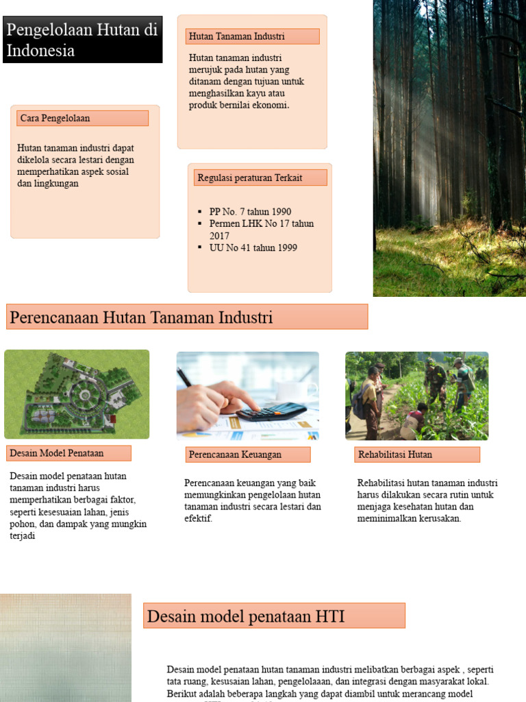 Pengelolaan Hutan Tanaman Industri | PDF