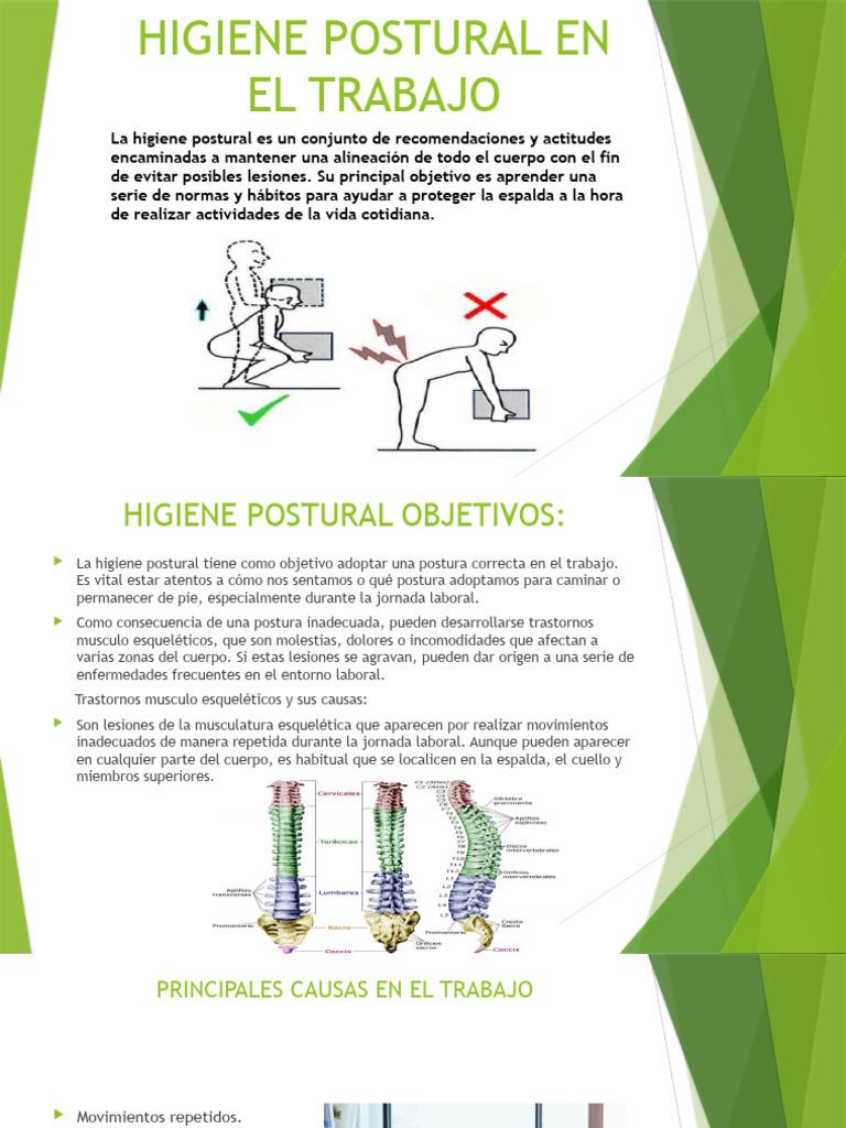 Higiene Postural en el Trabajo | PDF | Hombro | Dolor lumbar