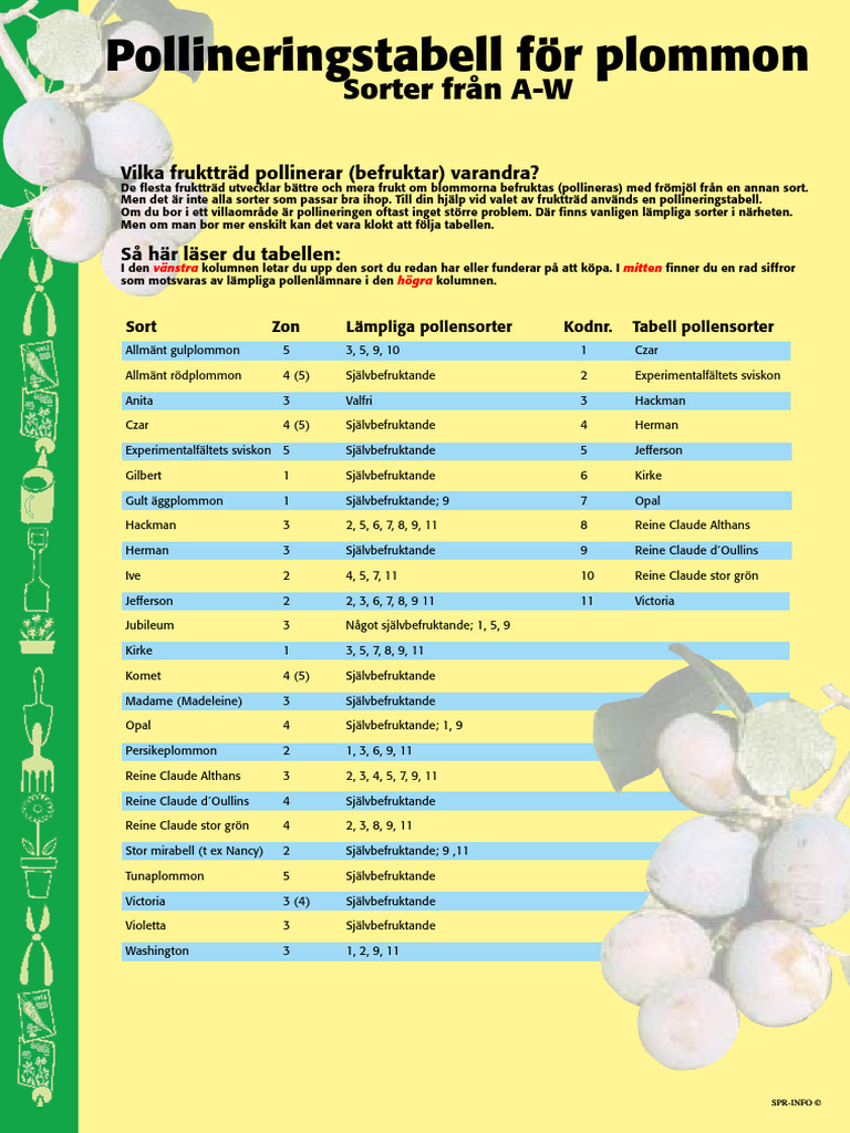 Polltabell Plommon | PDF