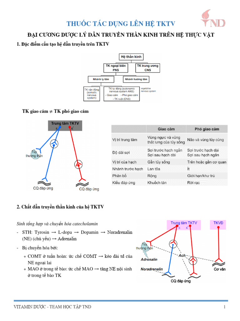 Tóm tắt TKTV | PDF