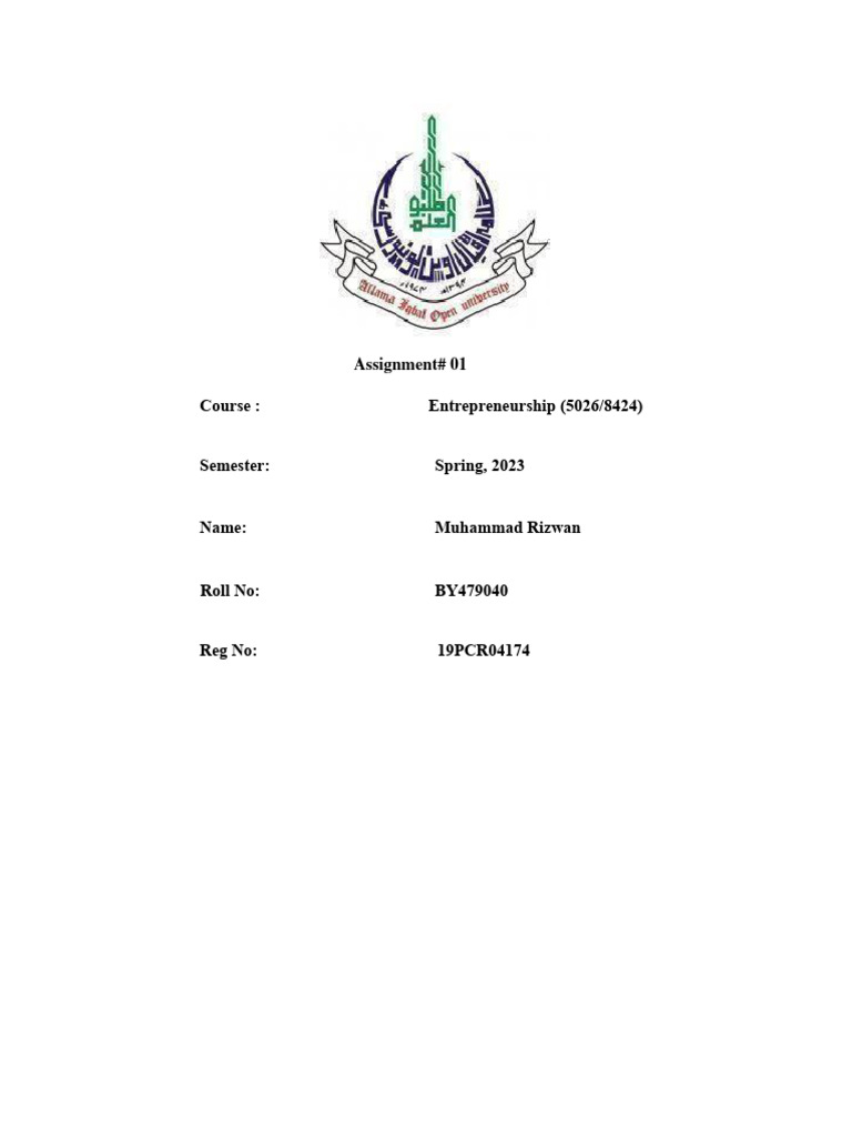 5026 Assignment#01 | PDF | Strategic Management | Entrepreneurship