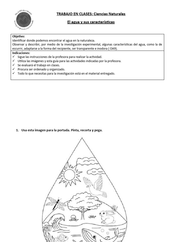 Guía de trabajo el agua y sus propiedades | PDF