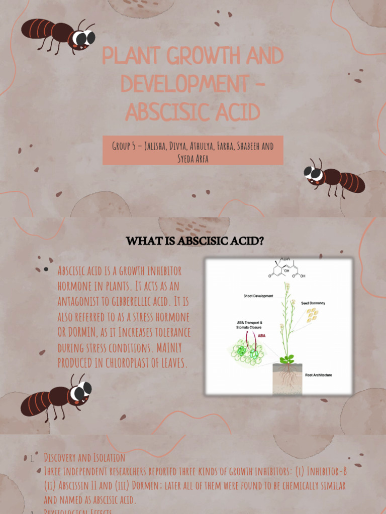 Plant Growth and Devlopment | PDF | Plant Hormone | Horticulture