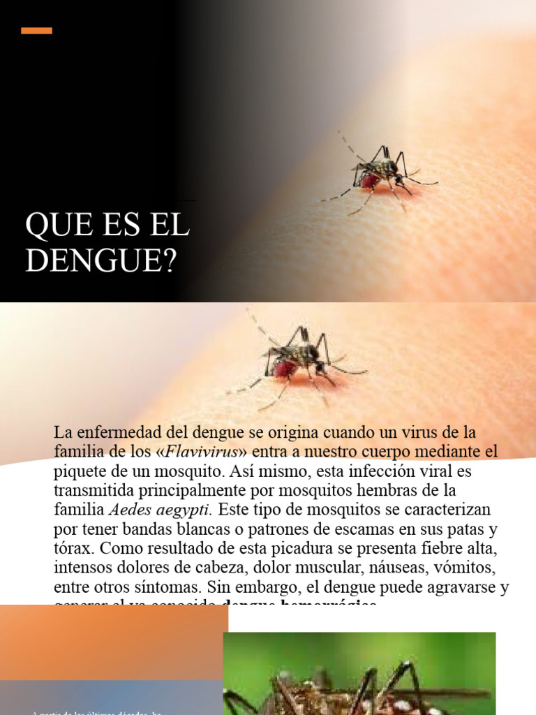 Dengue: Causas, Síntomas y Transmisión | PDF | Aedes aegypti | Salud ...