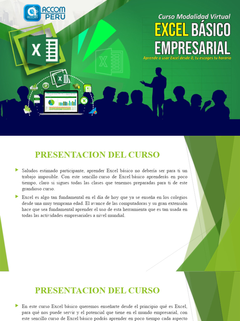 Presentación Del Curso Excel Básico | PDF | Microsoft Excel | Programa de computadora