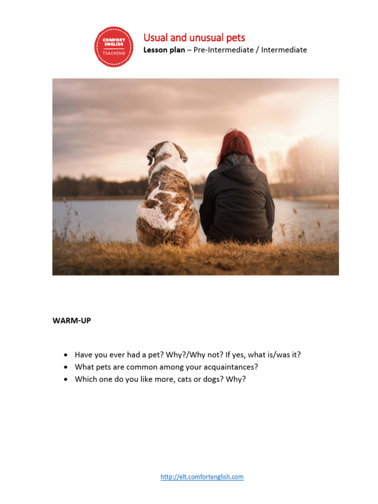 Usual and Unusual Pets LessonPlan | PDF | Pet | Animals And Humans