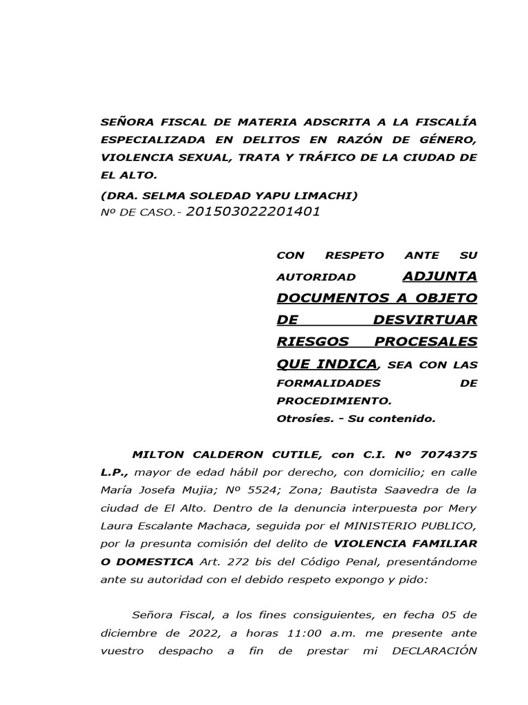 ADJUNTA DOCUMENTACION | PDF