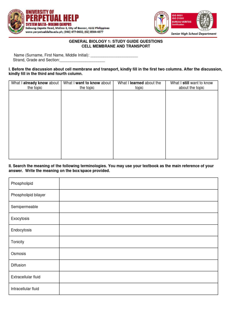 Study Guide Questions Cell Membrane and Transport | PDF | Cell Membrane ...