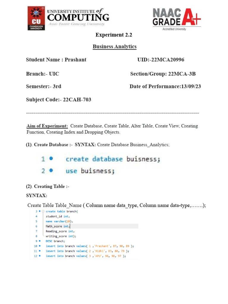 BA 2.2 Prashant | PDF