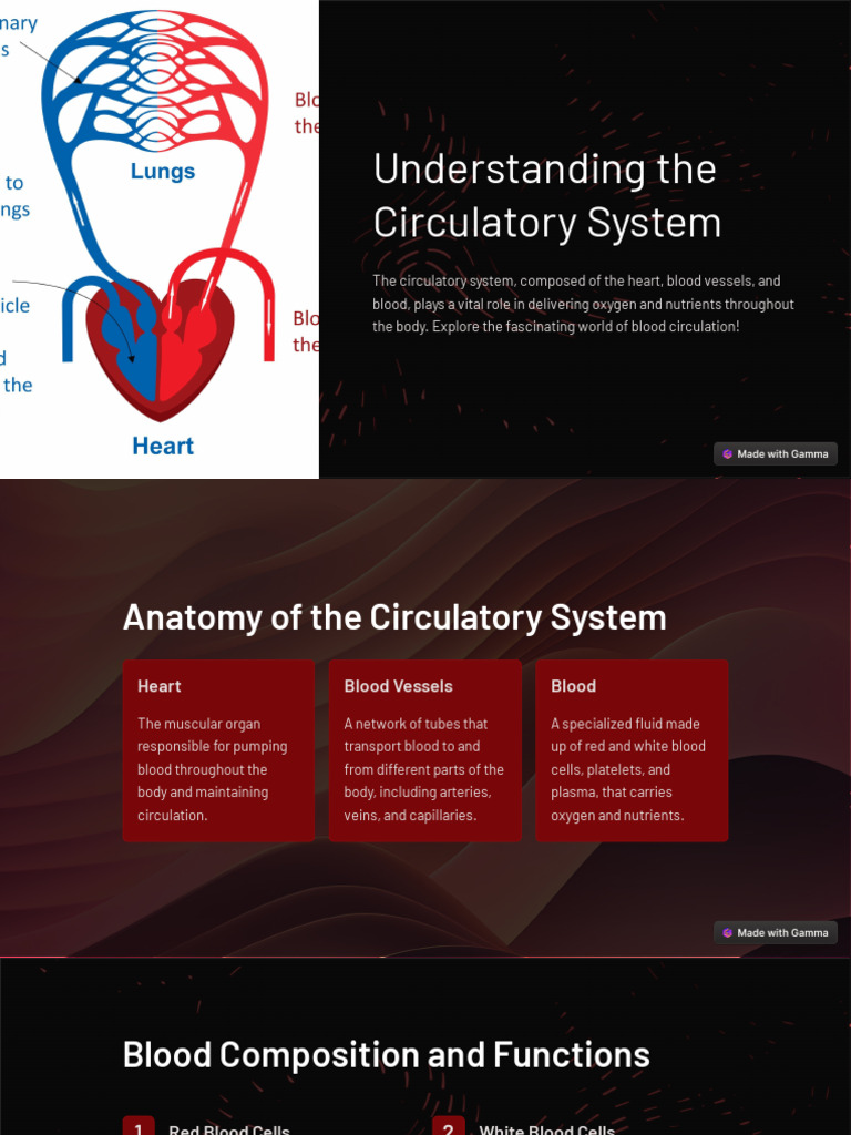 Understanding the Circulatory System | PDF | Blood | Circulatory System