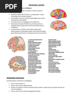 Escala RACE para Evaluación de Ictus | PDF | Cuidado de la salud ...