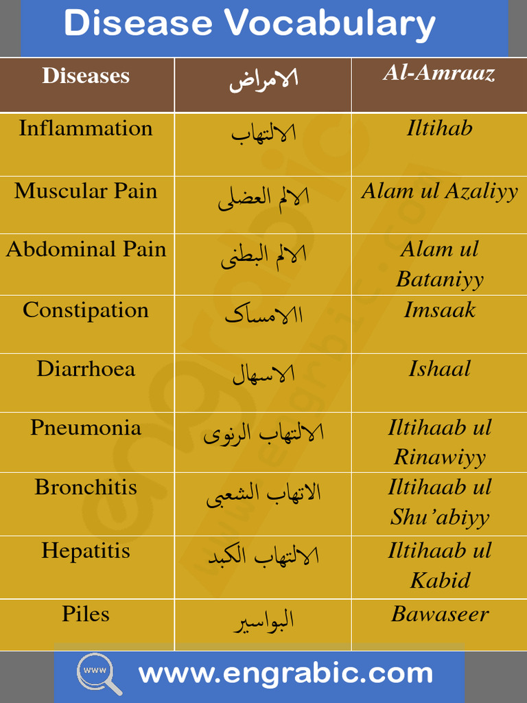 Chart - Vocabulary-Set-14 | PDF