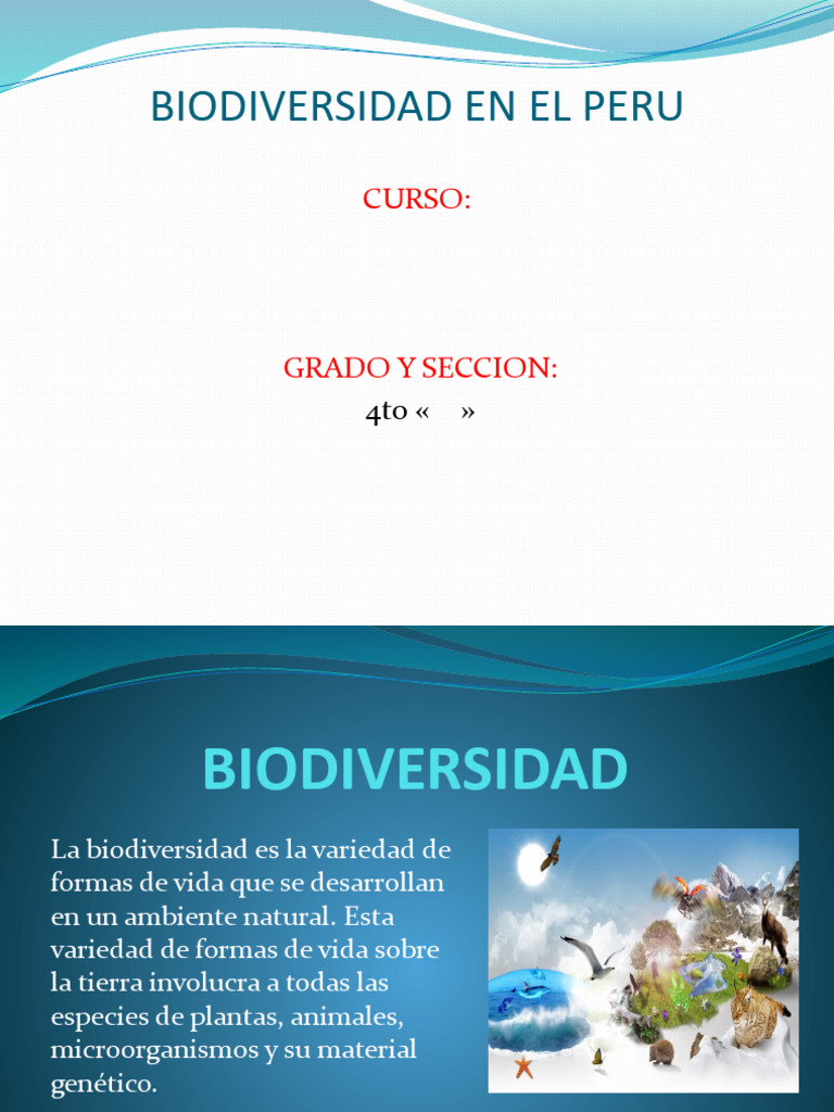 Bio Divers I Dad | PDF | Biodiversidad | Perú