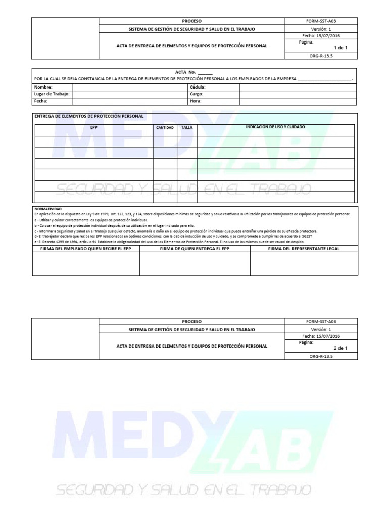 A02 Registro de Entrega de EPP | PDF