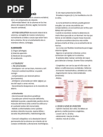 Signo de Risser | PDF | Escoliosis | Rtt