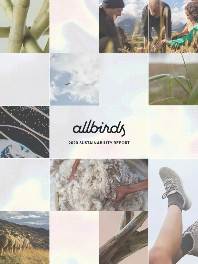 Allbirds_Sustainability_Report_2020 | PDF | Sustainability | Climate Change