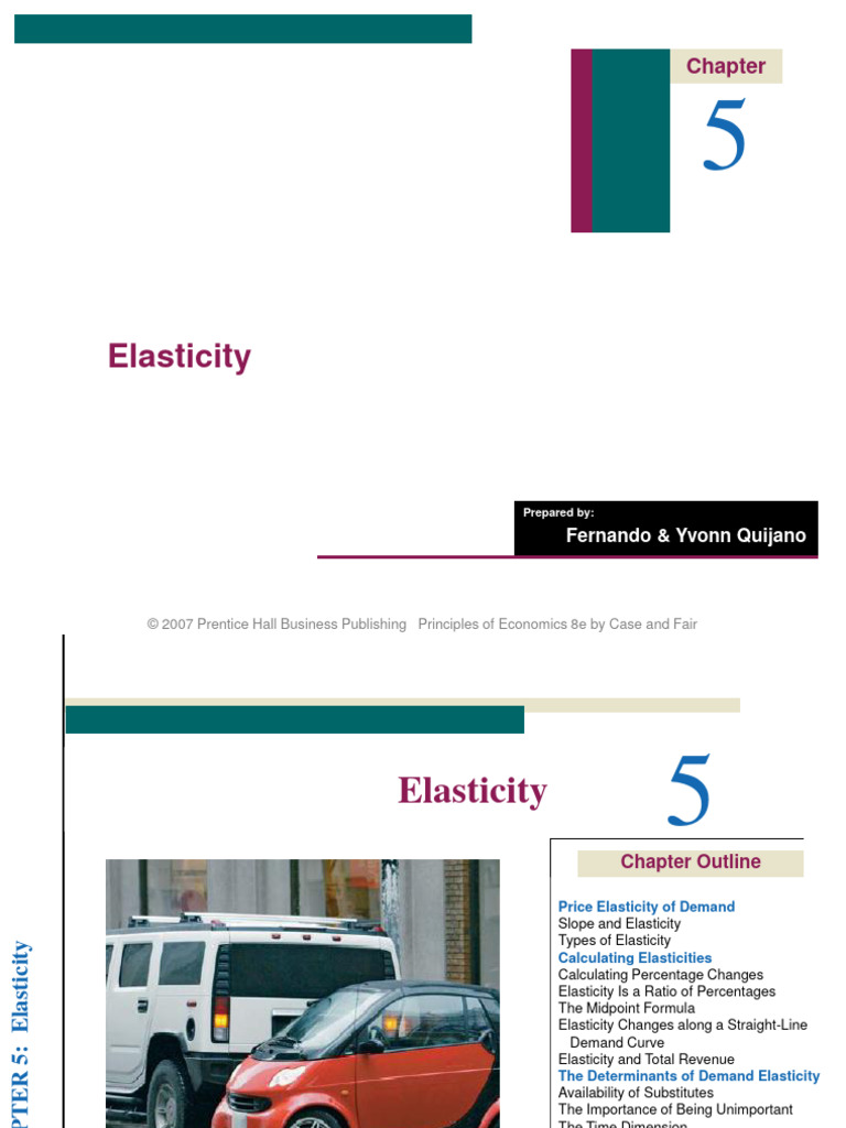 Elasticity in Economics Explained | PDF | Elasticity (Economics ...