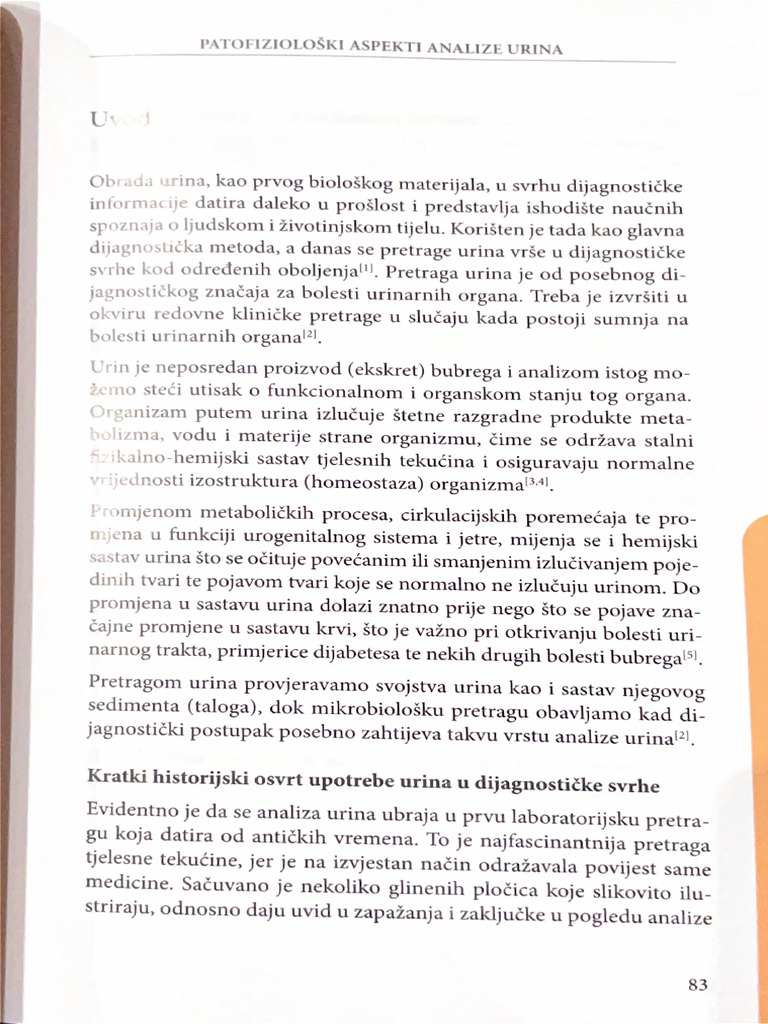 Patofiza Urin | PDF