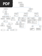 Gram Positive Cocci Flow Chart | PDF | Streptococcus | Prokaryote