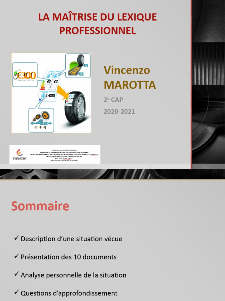 La Maîtrise Du Lexique Professionnel - VM | PDF