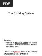 Excretion and Homeostasis Form2 | PDF | Kidney | Homeostasis