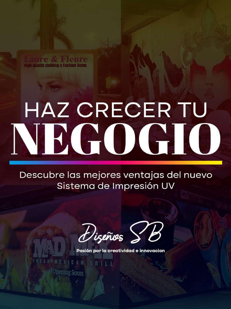 Haz Crecer Tu Negocio Brochure Diseños SB | PDF