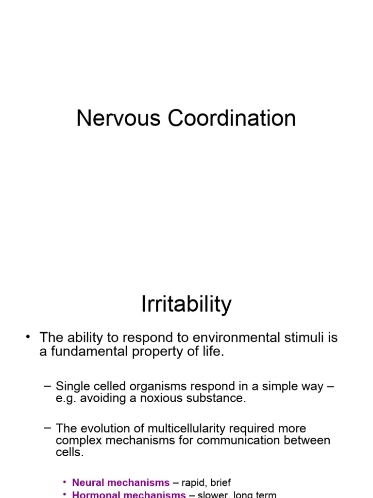 Nervous Coordination | PDF | Neuron | Chemical Synapse