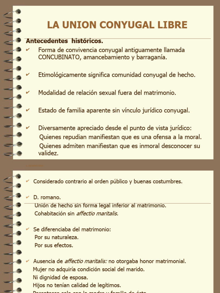 Historia y Evolución del Concubinato | PDF | Matrimonio | Esposa