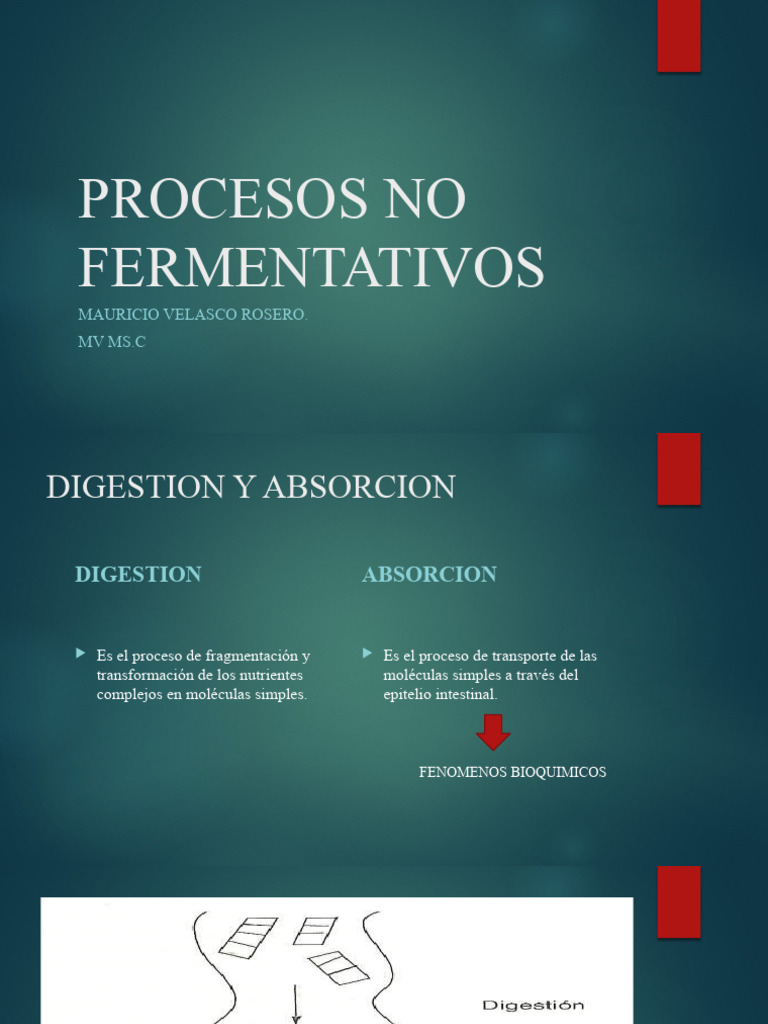 Procesos No Fermentativos | PDF | Digestión | Lípido