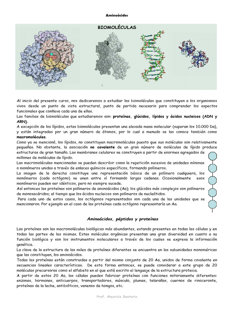 Capitulo III - Aminoácidos | PDF | Aminoácidos | Proteínas