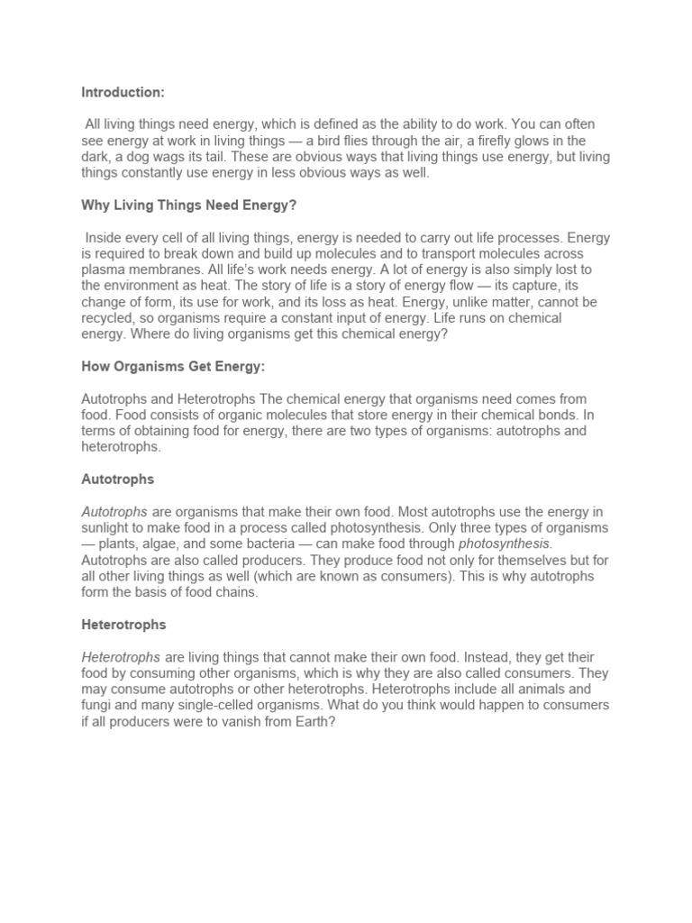 Energy Transformation | PDF | Chloroplast | Mitochondrion