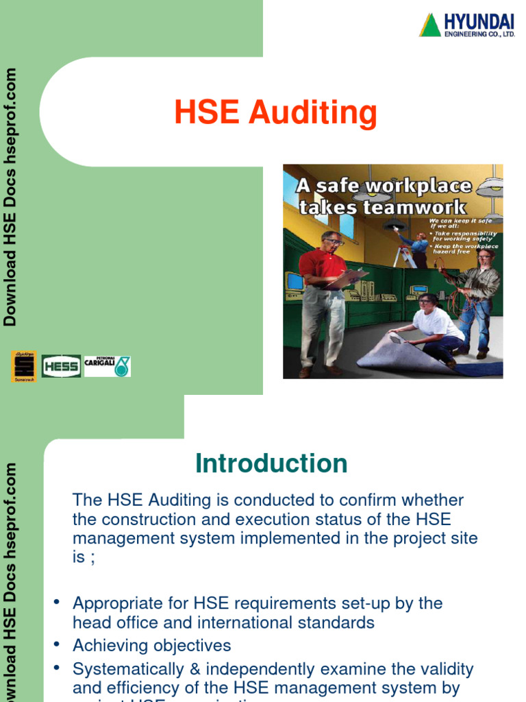 HSE Auditing | PDF | Audit | Risk