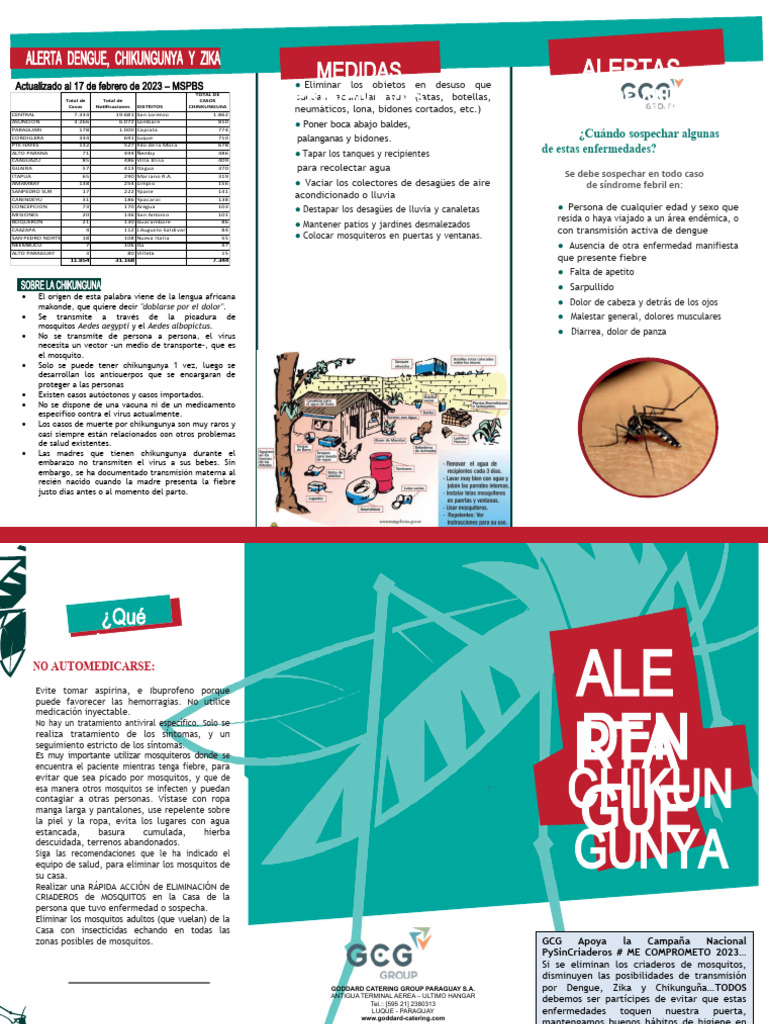 Alerta-dengue-TRIPTICO-A4-Para Imprimir | PDF | Humanidades Médicas | Enfermedades virales animales