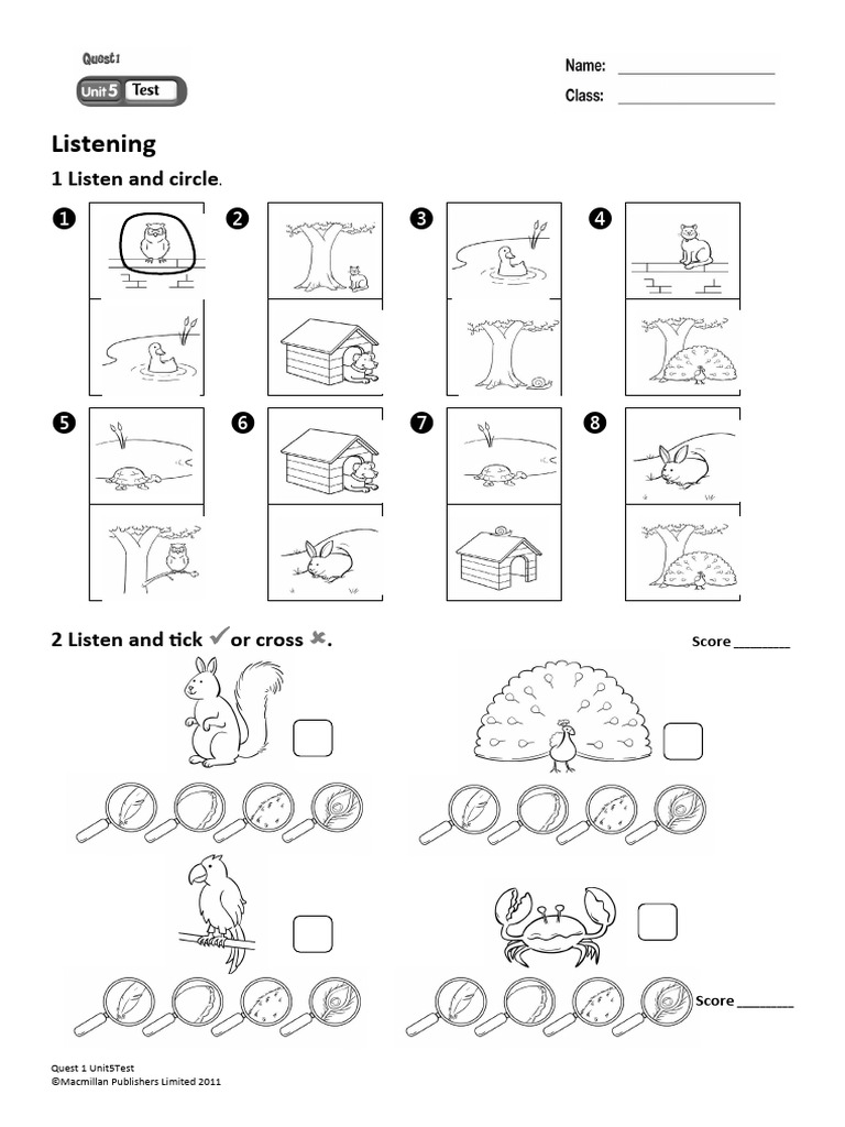 Quest 1 Unit 5 Test Activities | PDF