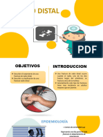 Clasificacion de Fernandez para Fracturas Distales de Radio: Issac ...