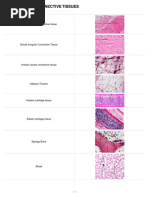 Tissues Drawing | PDF