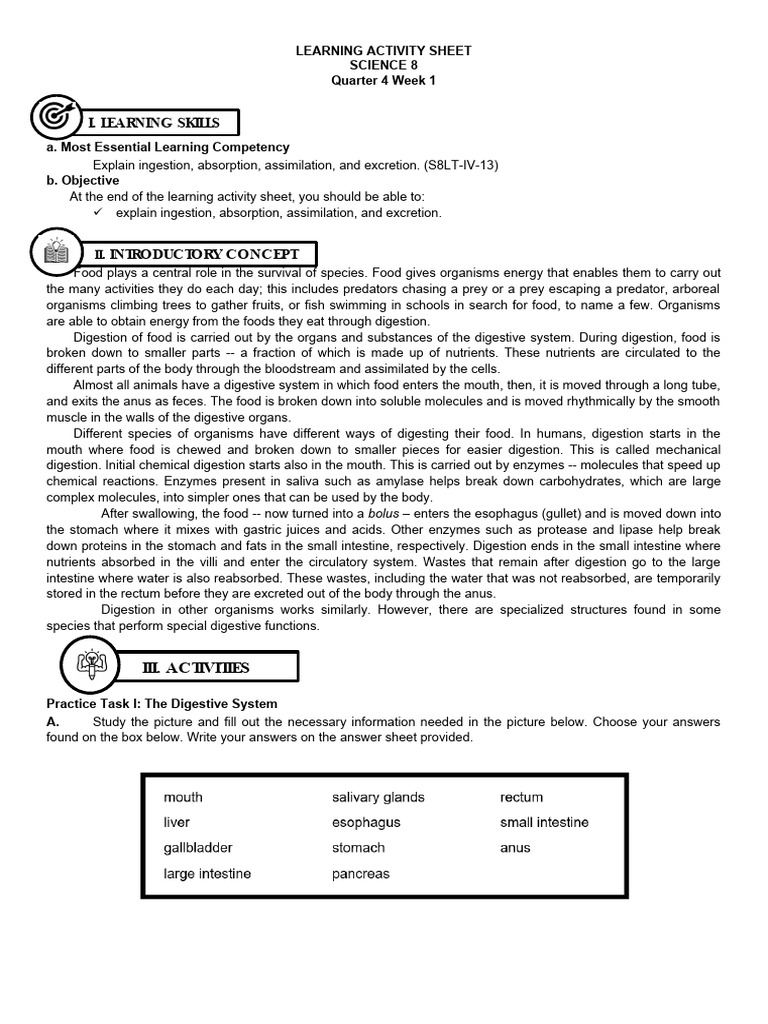 Learning Activity Sheet | PDF | Digestion | Human Digestive System