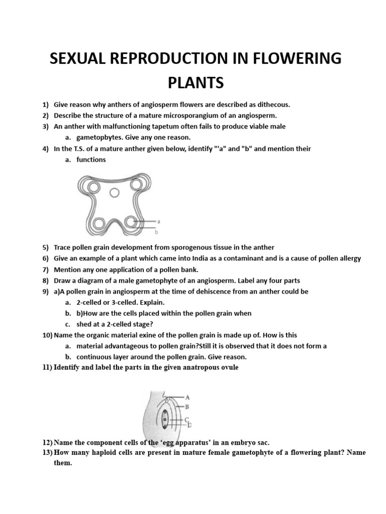 Sexual Reproduction in Flowering Plants | PDF | Flowers | Seed