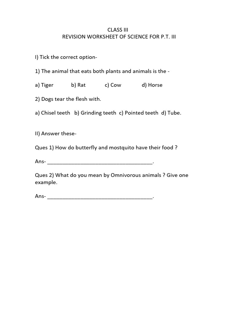 Worksheet Class 3 | PDF | Kilogram | Weight