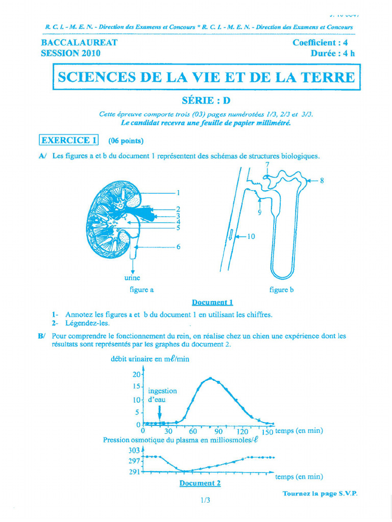 Bac D SVT 2010 | PDF