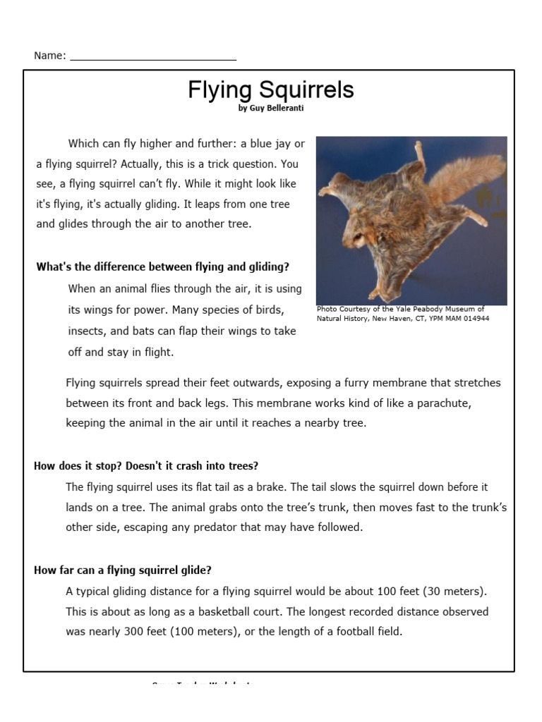 6th Flying Squirrels - SQUIR | PDF | Birds | Ornithology